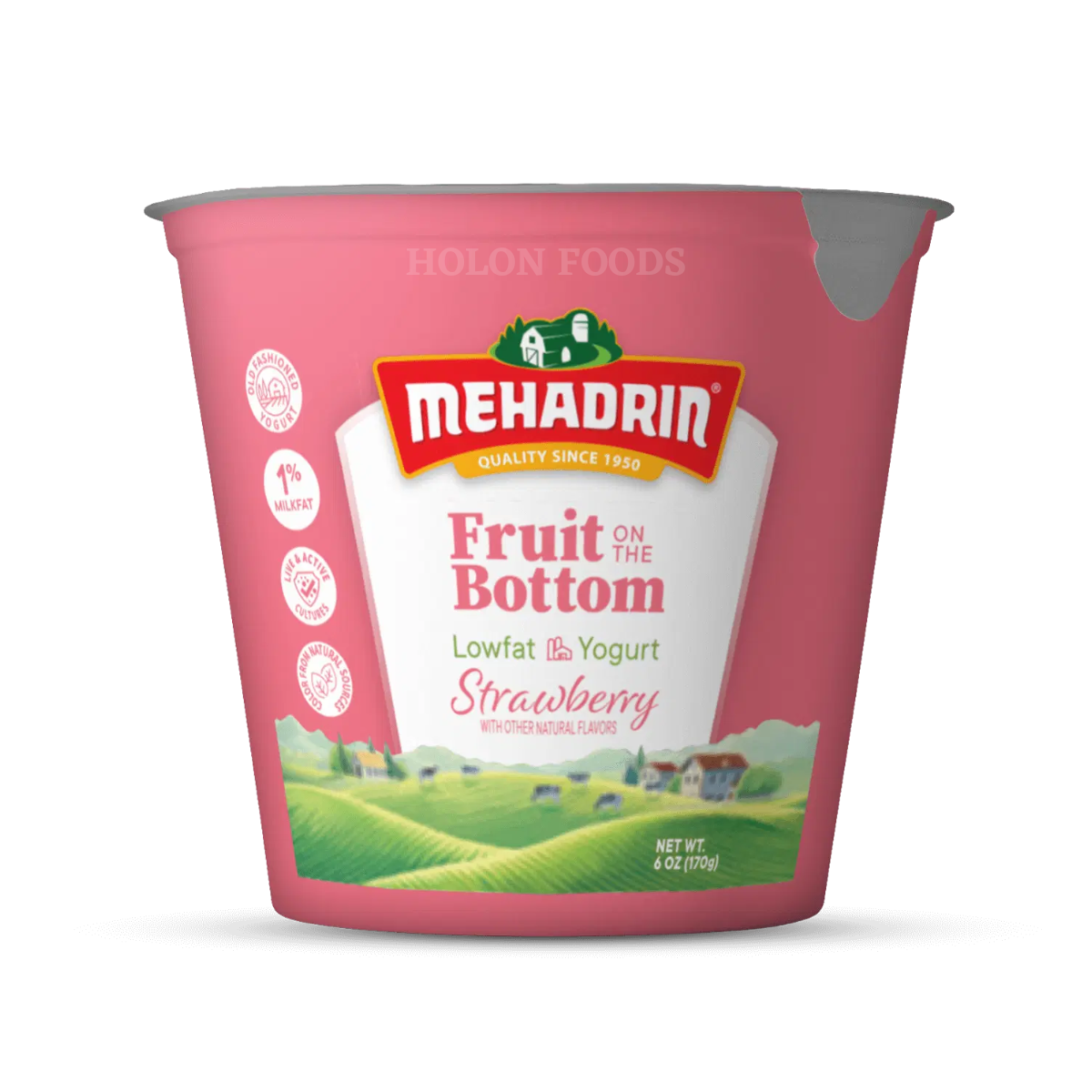 Shop Mehadrin Yogurt Strawberry LowFat 1% Milk Fat 6 oz | Holon Kosher ...