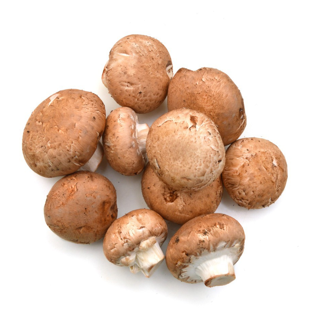 Shop Baby Bella Mushrooms 10 oz | Holon Kosher Foods | Online Kosher ...