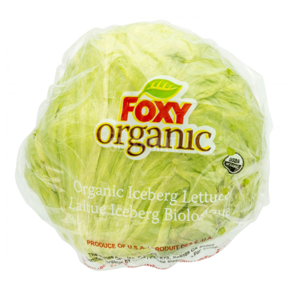 Shop Foxy Iceberg Lettuce 1 ct | Holon Kosher Foods | Online Kosher ...