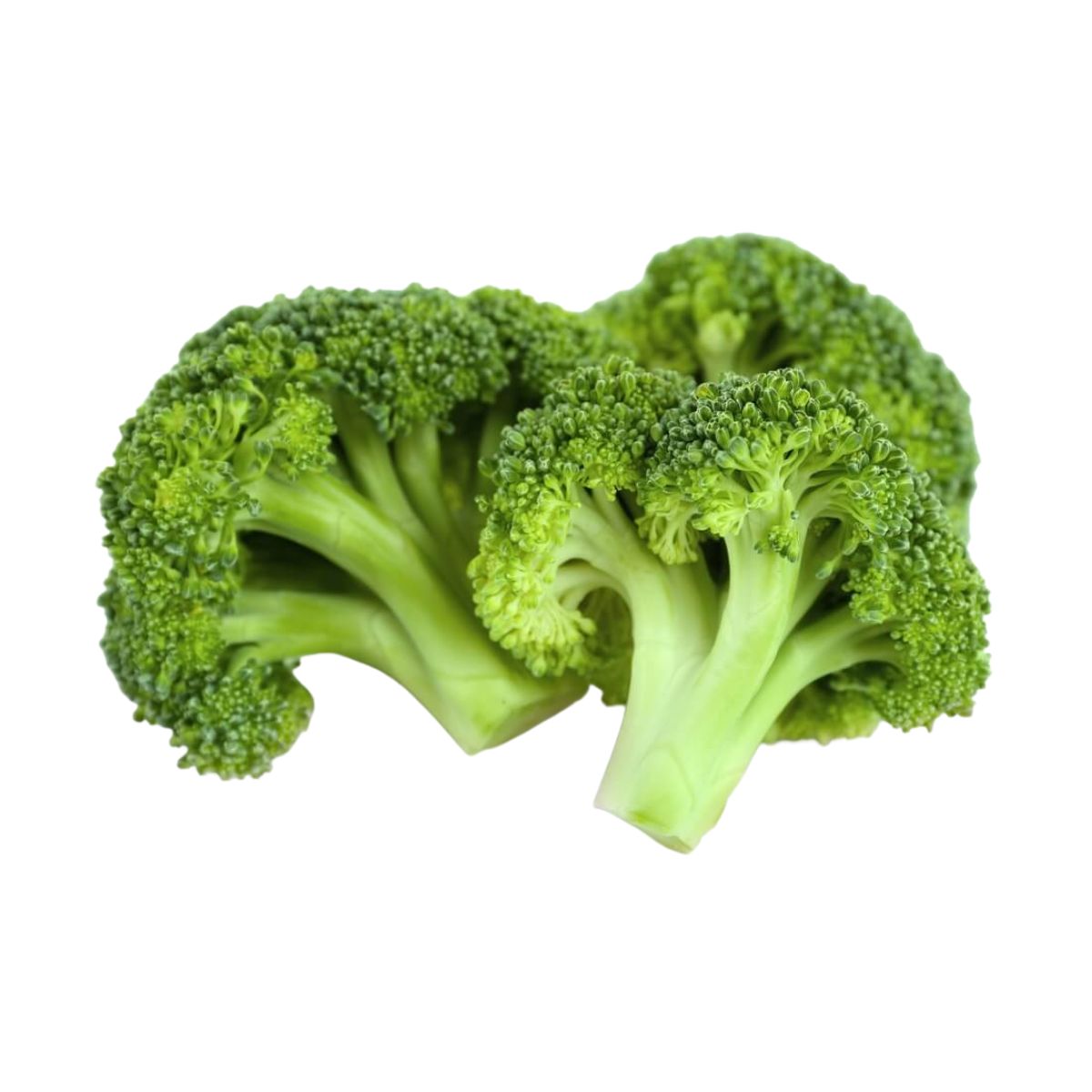 Buy Fresh Broccoli | Holon Kosher Foods | Imported Israeli Grocery & Snacks